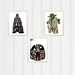 Set of 3 Patterns Star Wars Cross Stitch Pattern Yoda Typography Yoda ...