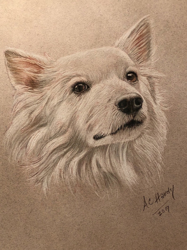 Pastel Dog Portrait - Etsy