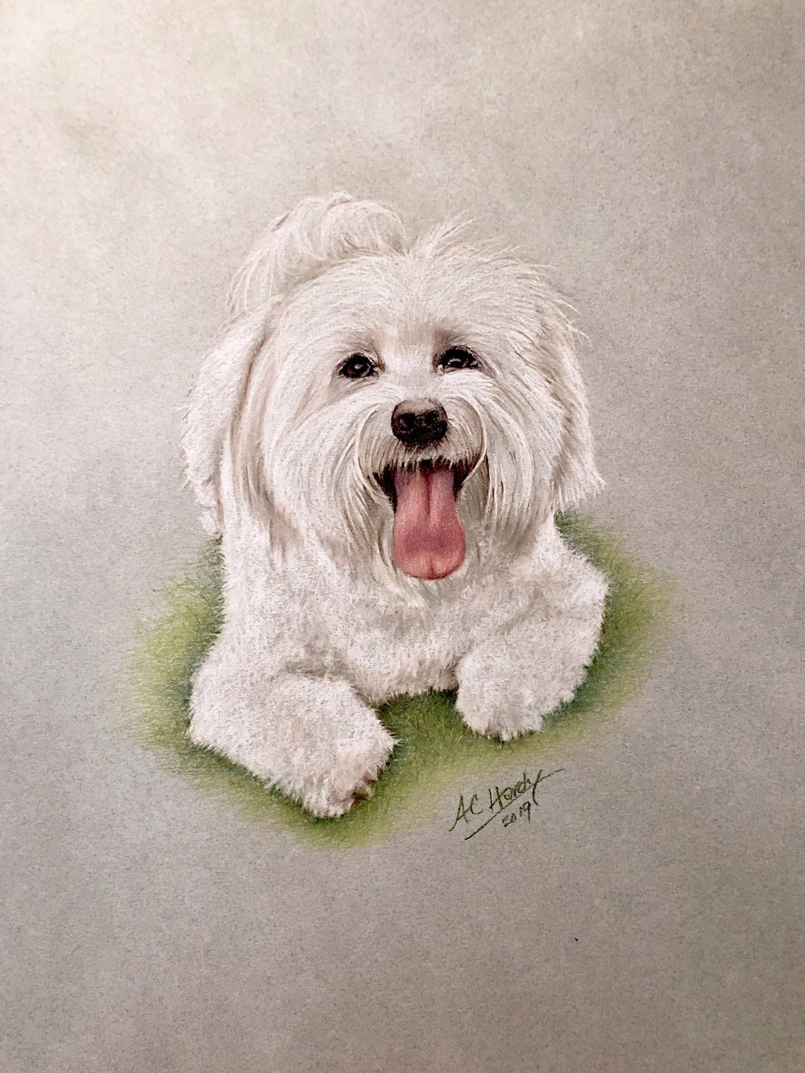 Pastel Dog Portrait - Etsy