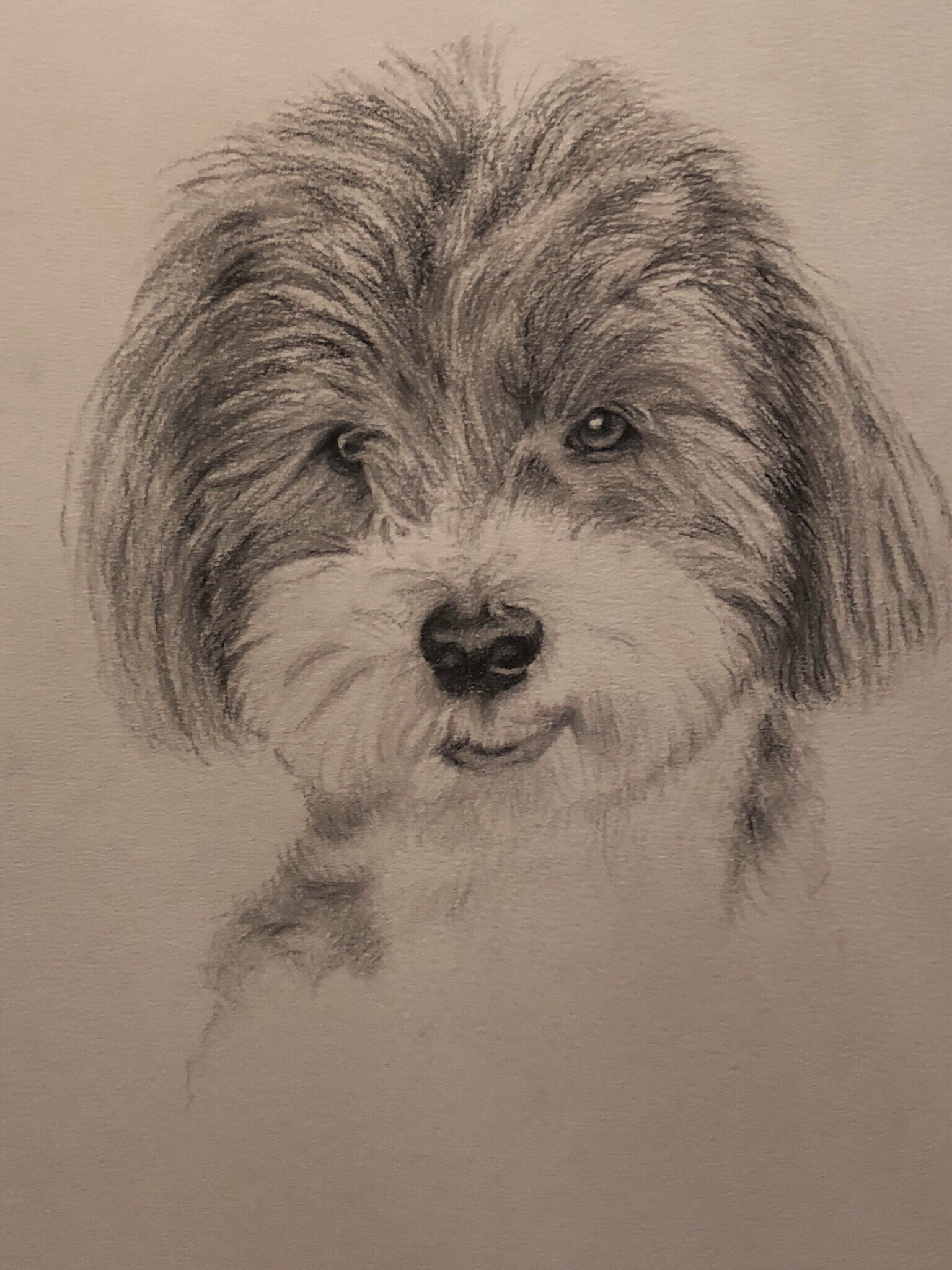 Pastel Dog Portrait - Etsy