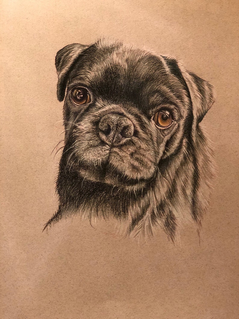 Pastel Dog Portrait - Etsy