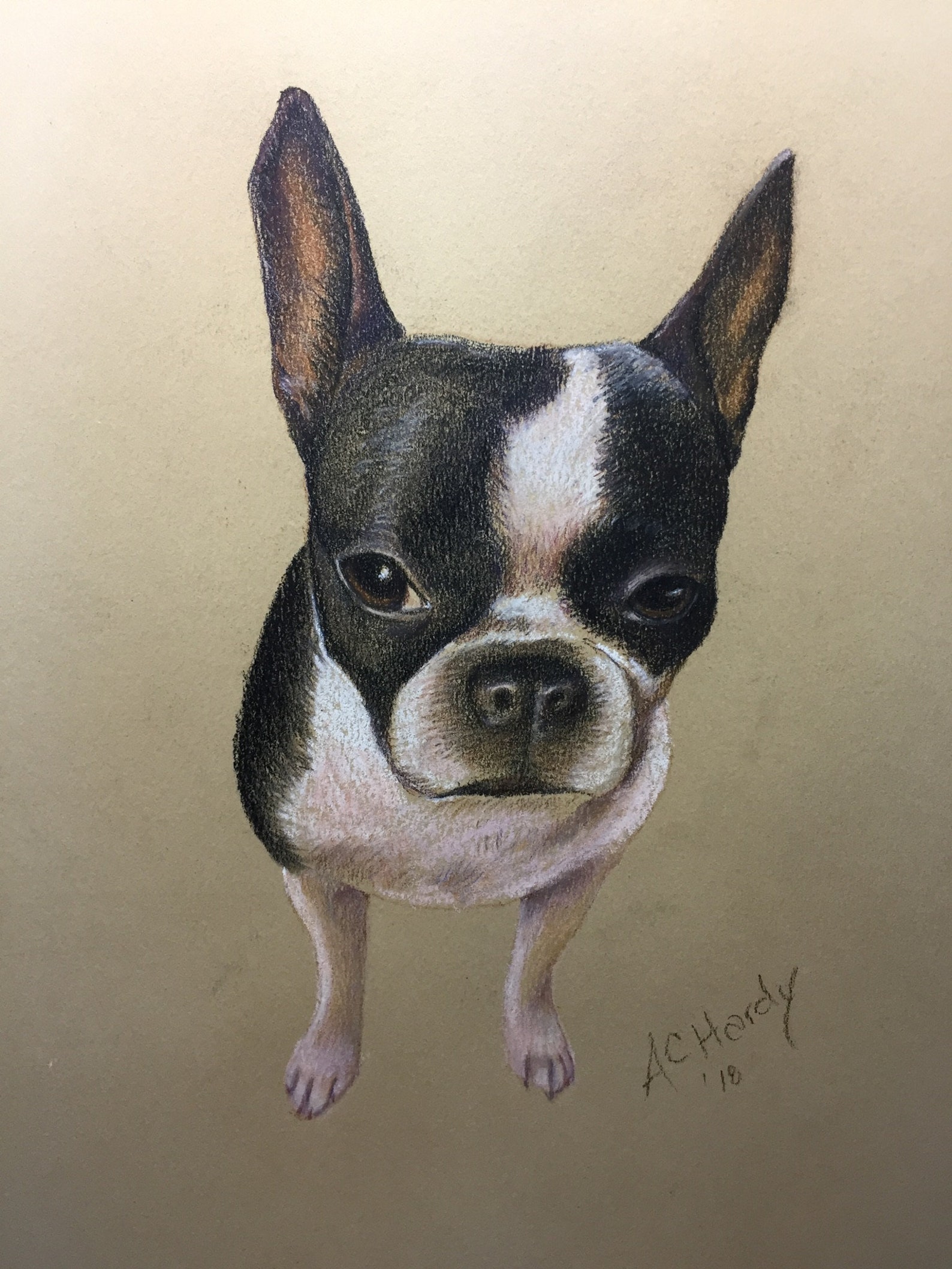 Pastel Dog Portrait - Etsy