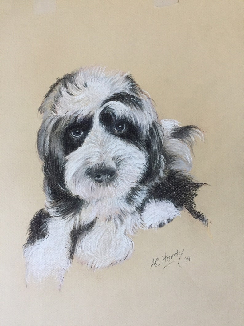 Pastel Dog Portrait - Etsy