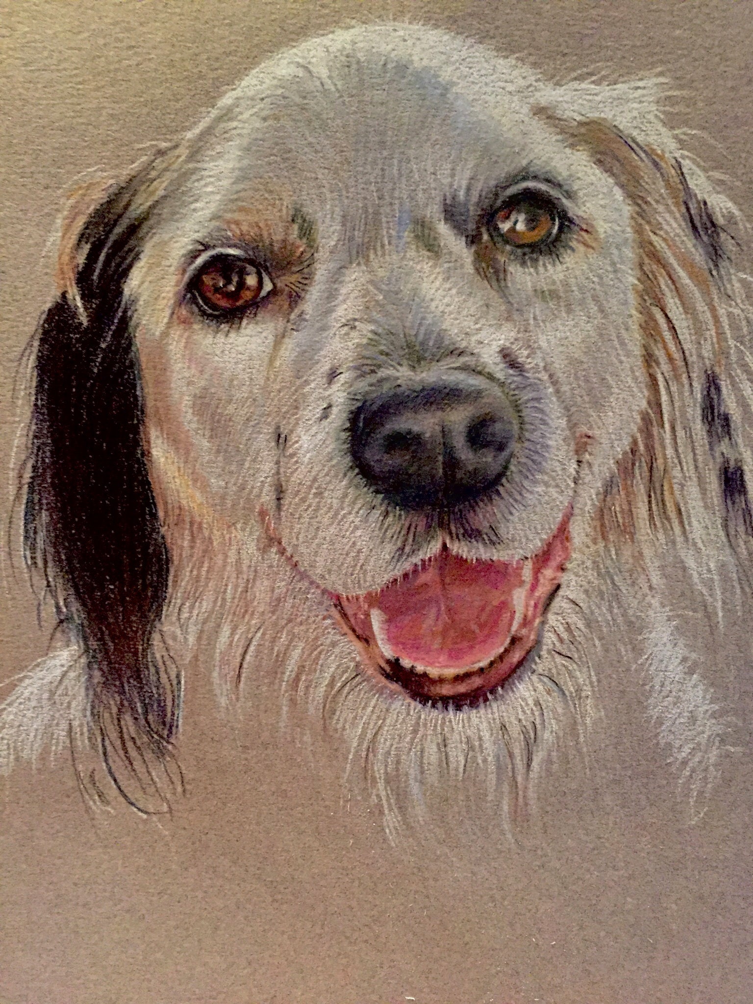 Pastel Dog Portrait - Etsy