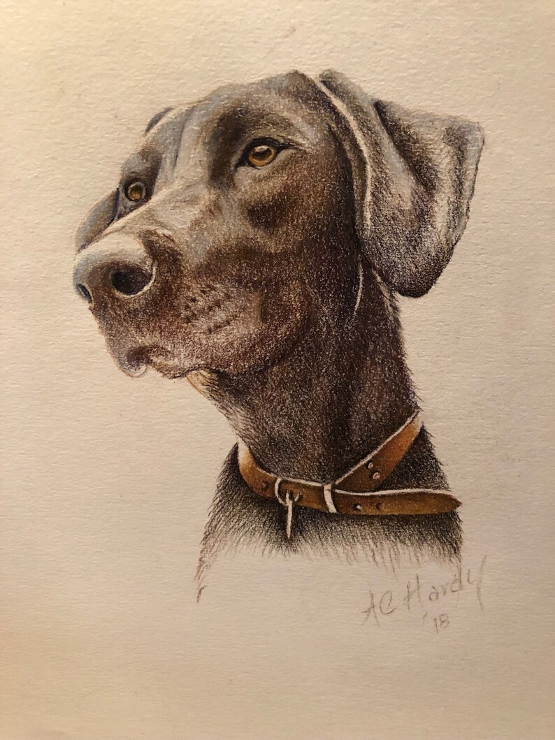 Pastel Dog Portrait - Etsy
