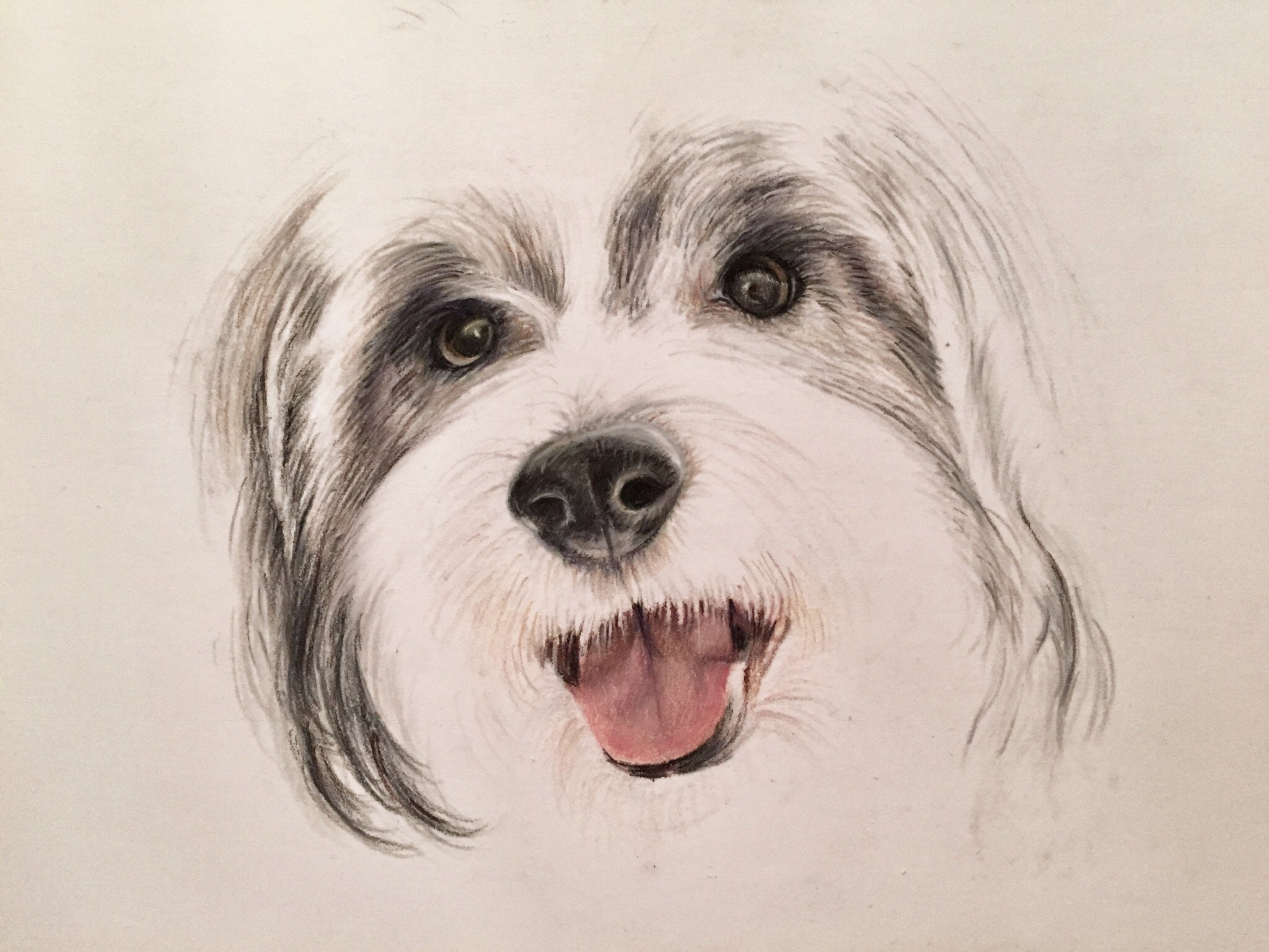 Pastel Dog Portrait - Etsy