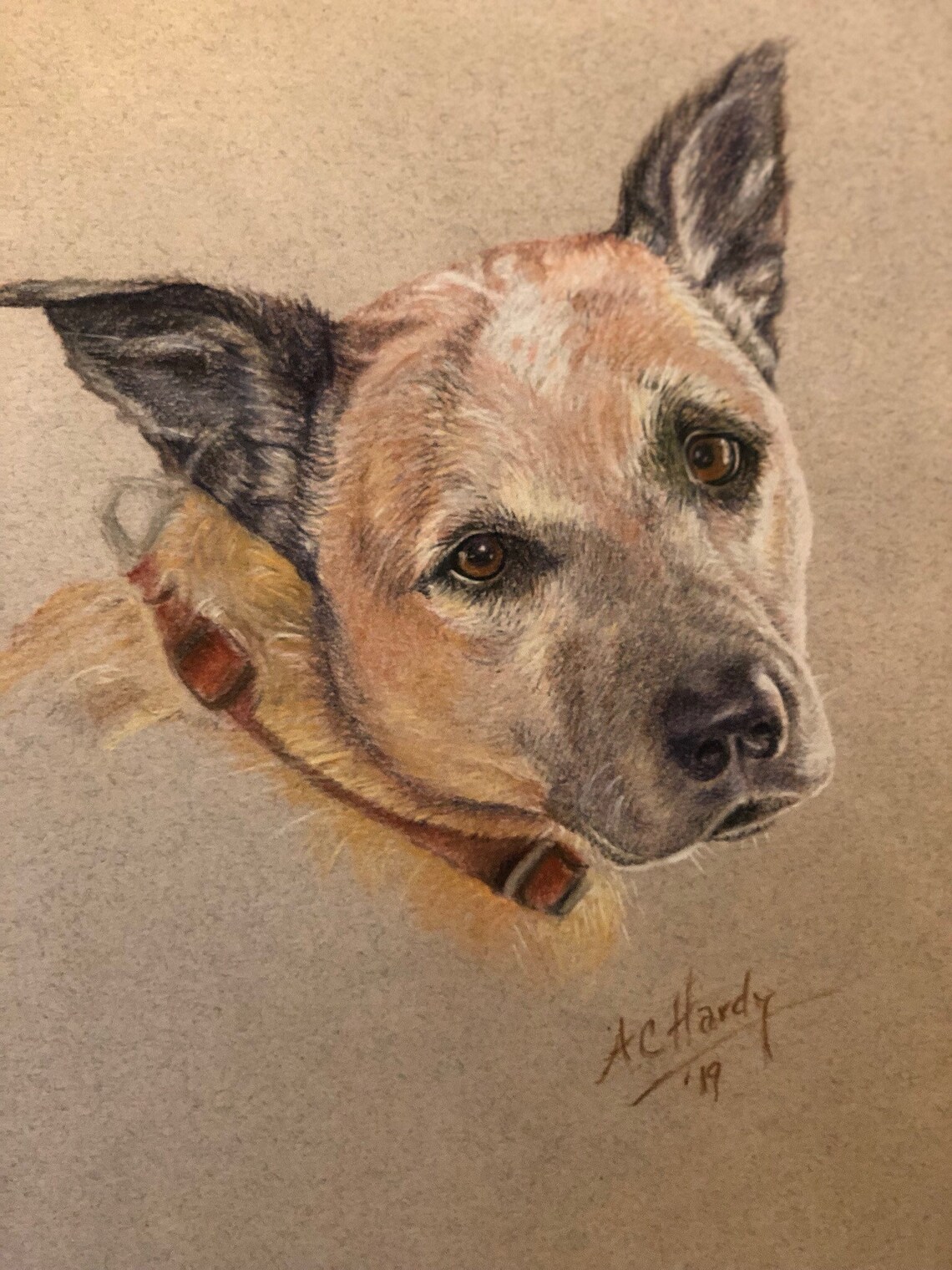 Pastel Dog Portrait - Etsy