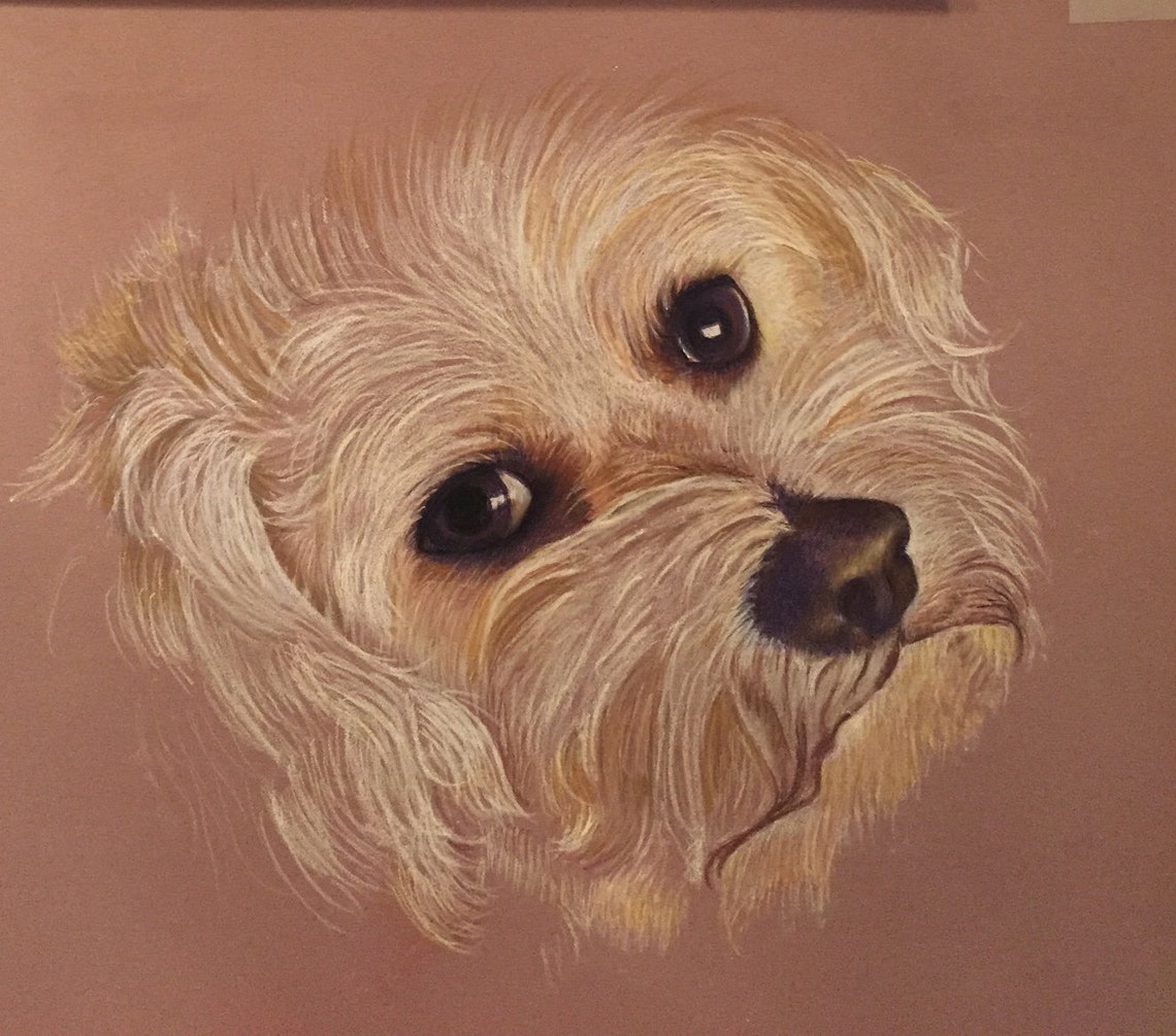 Pastel Dog Portrait - Etsy