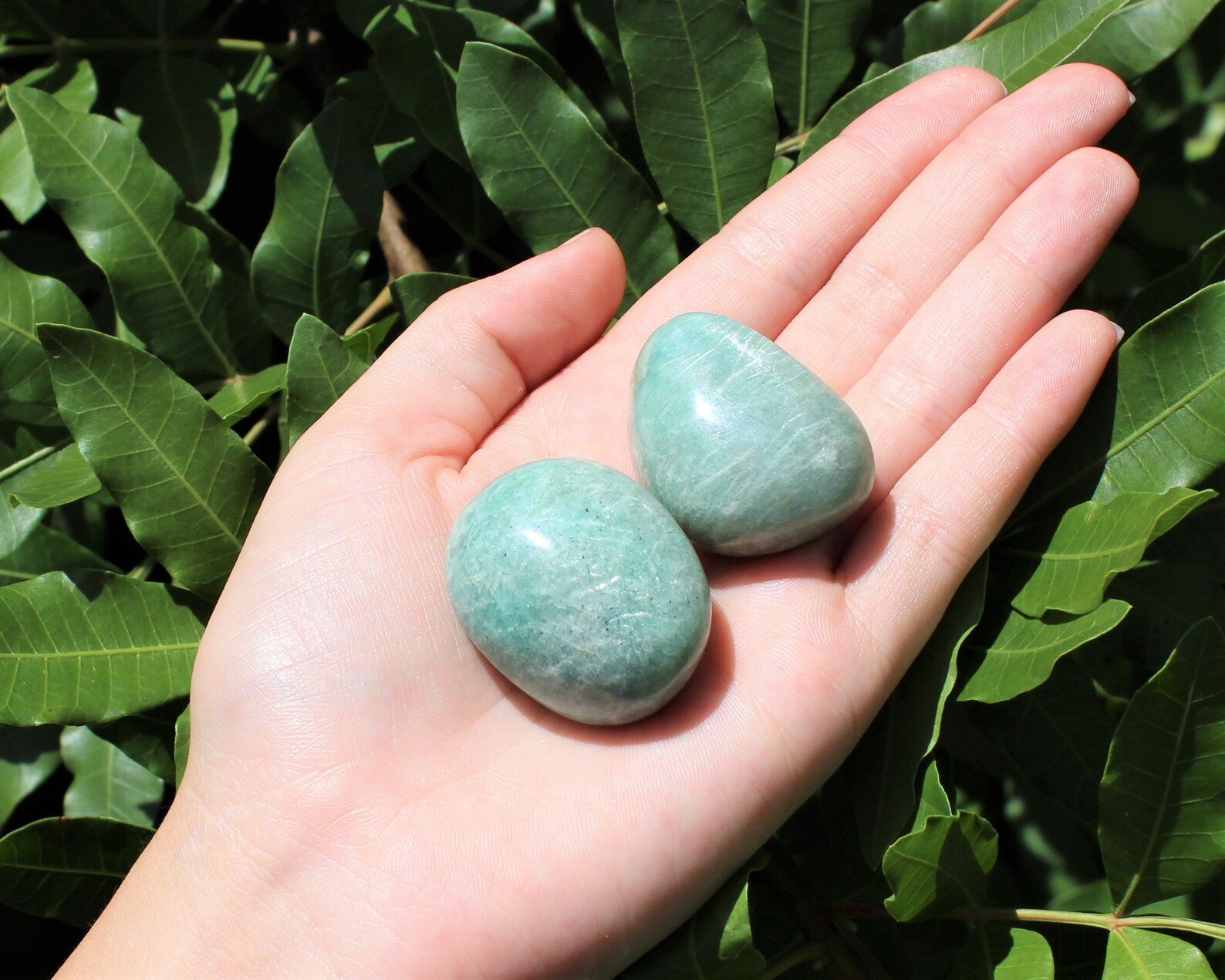 Amazonite Hand Polished Stones: Choose How Many ('A' Grade Premium ...