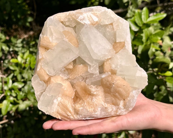 Specimens - World Incense Store