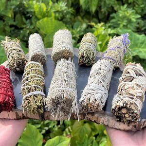 ULTIMATE Smudge Kit 10 Stick Sampler - White Sage, Black Sage, Blue Sage, Cedar, Copal, Desert ...