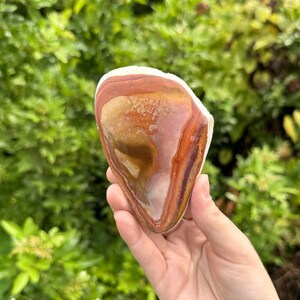 LARGE Polychrome Jasper Crystal Slab / Slice - Choose Size ('A' Grade ...