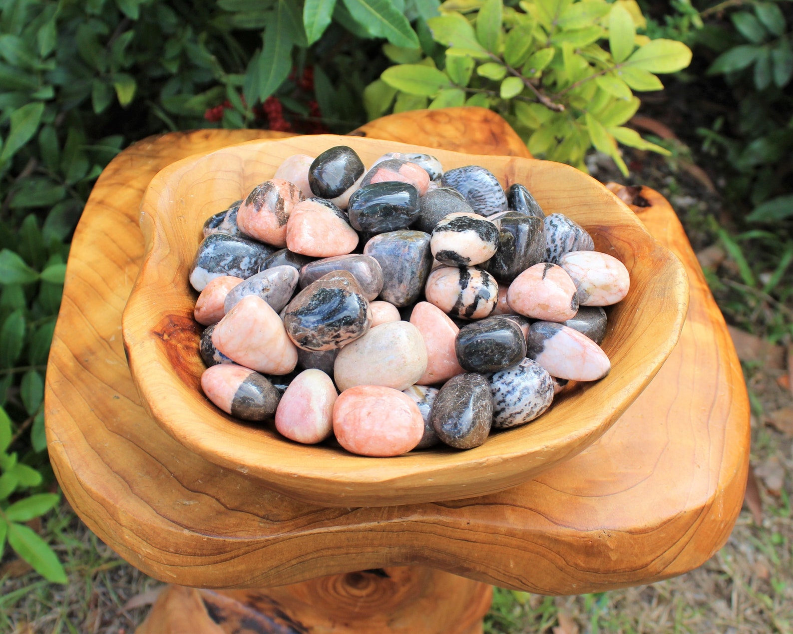Pink Zebra Jasper Tumbled Stones: Choose How Many Pieces (premium ...