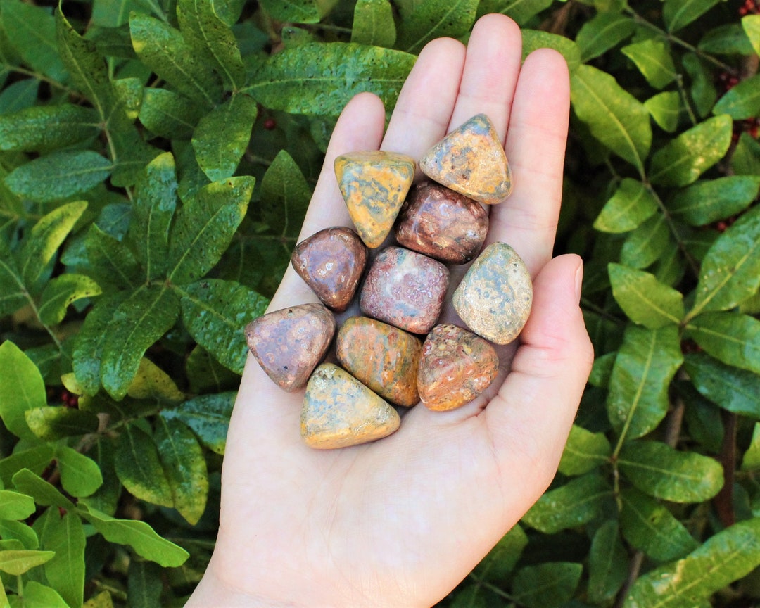 Yellow Leopard Skin Jasper Tumbled Stones: Choose How Many Pieces ...