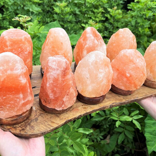Himalayan Salt Decor - Etsy