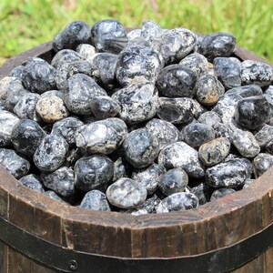 Raw Apache Tears Stones: Choose How Many Pieces (premium Quality 'A ...