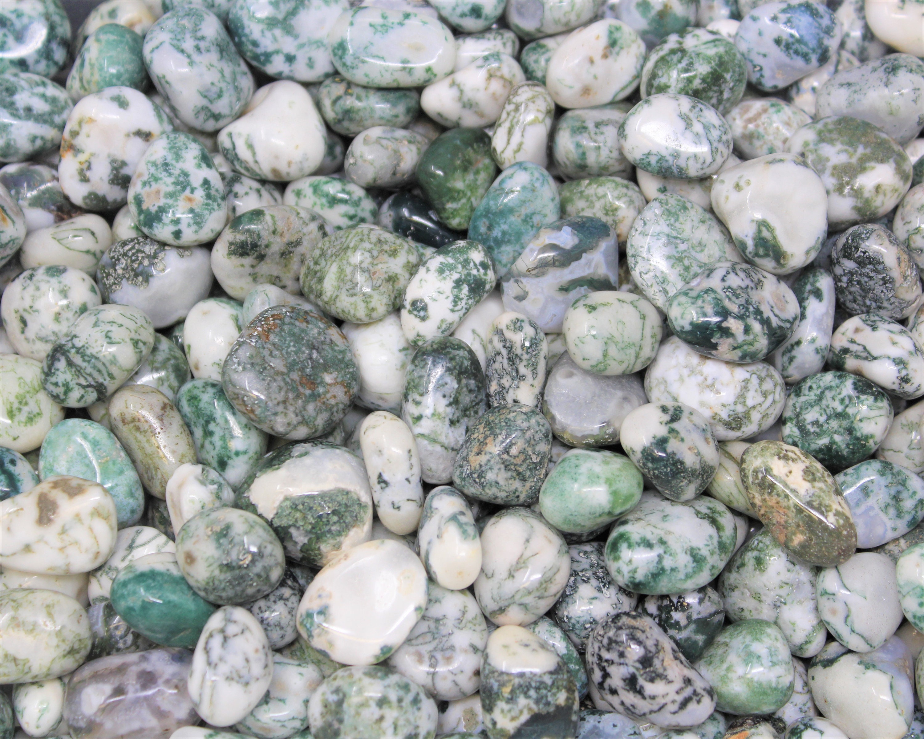 Tree Agate Tumbled Stones: Choose How Many Pieces ('A' Grade, Tumbled ...