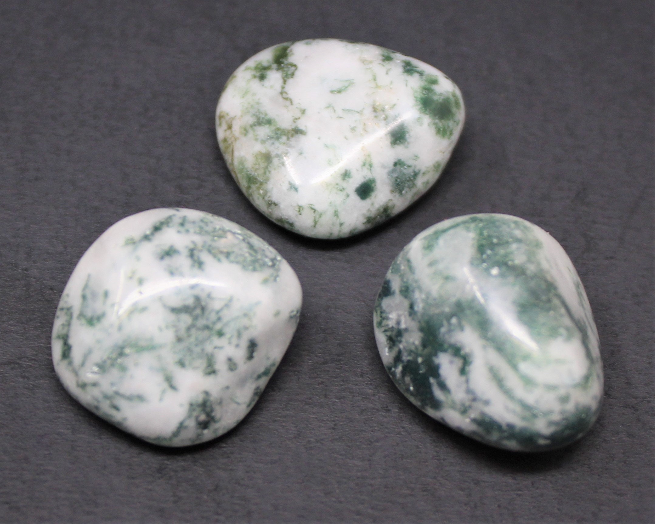 Tree Agate Tumbled Stones: Choose 4 oz, 8 oz or 1 lb Bulk Lots ('A ...