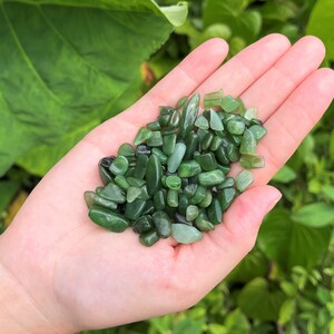 Jade Nephrite Semi Tumbled Gemstone Mini Chips 5 - 25 Mm: Choose Ounces ...
