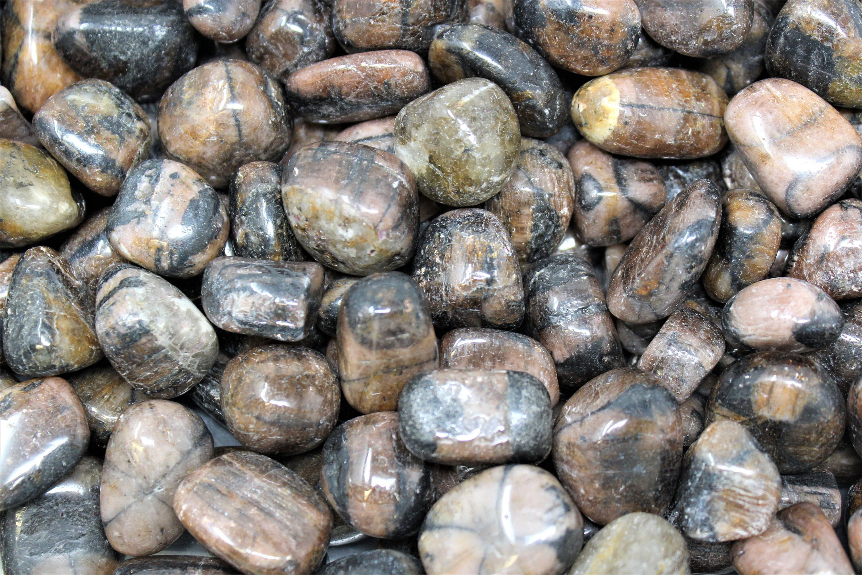 Chiastolite Tumbled Stones: Choose 2 oz, 4 oz, 8 oz or 1 lb Bulk Lots ...