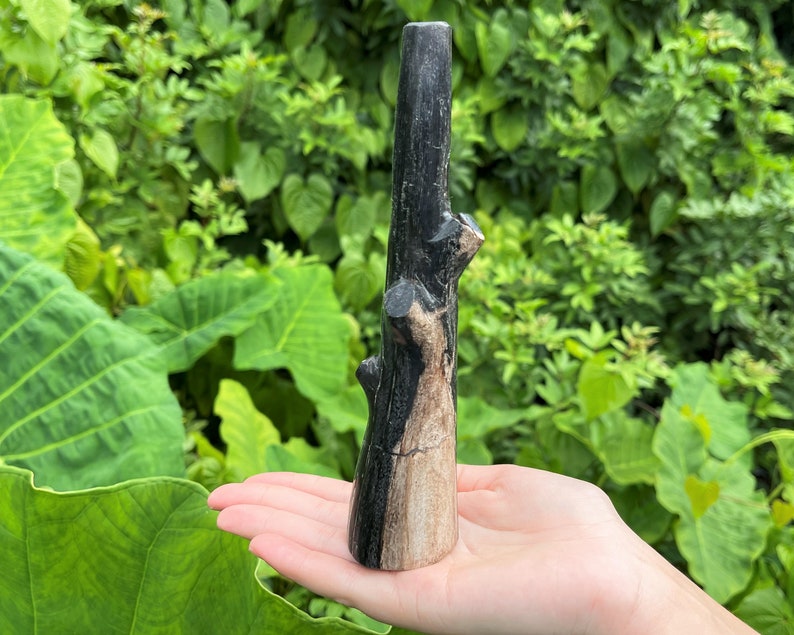 LARGE Petrified Wood Branch Carving, 7 - 7.5" (fossilized Wood Branch ...