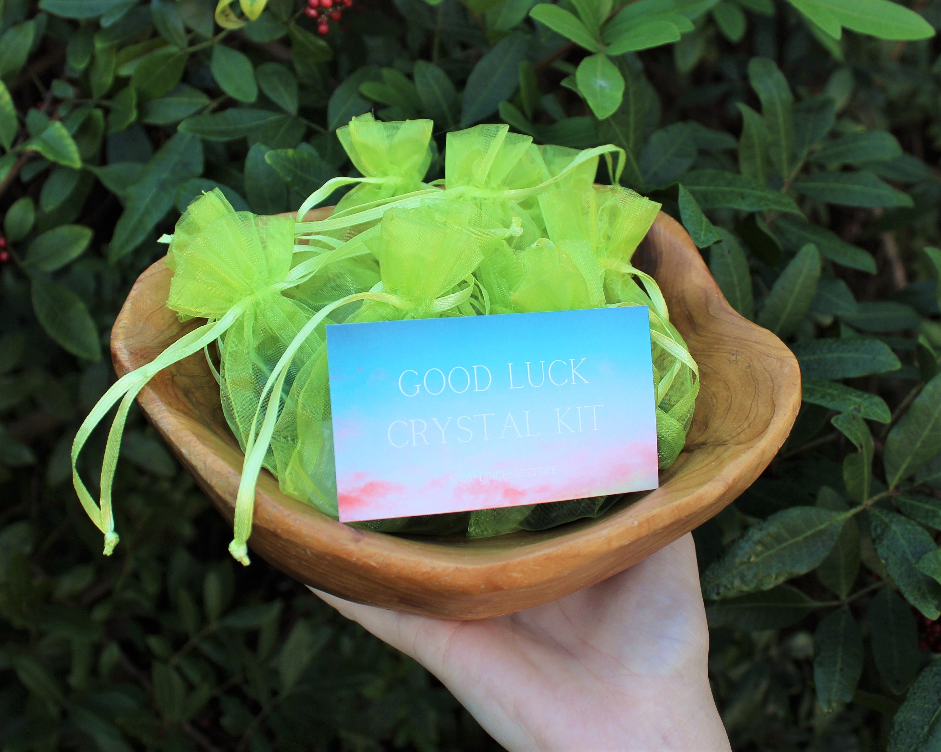 Good Luck Crystal Kit 4 Pcs in Organza Pouch Most Popular | Etsy