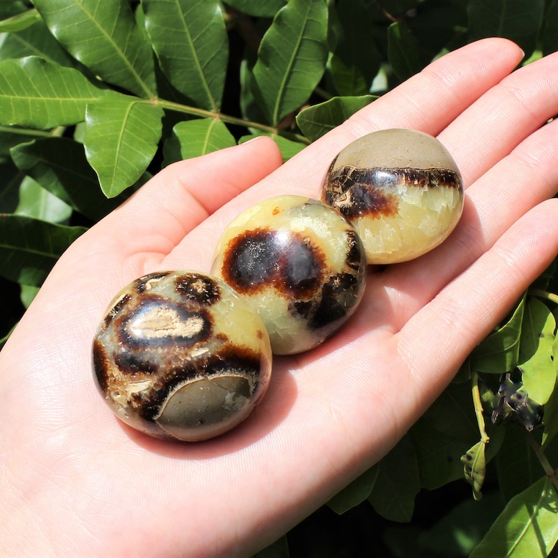 Septarian Jewelry - Etsy