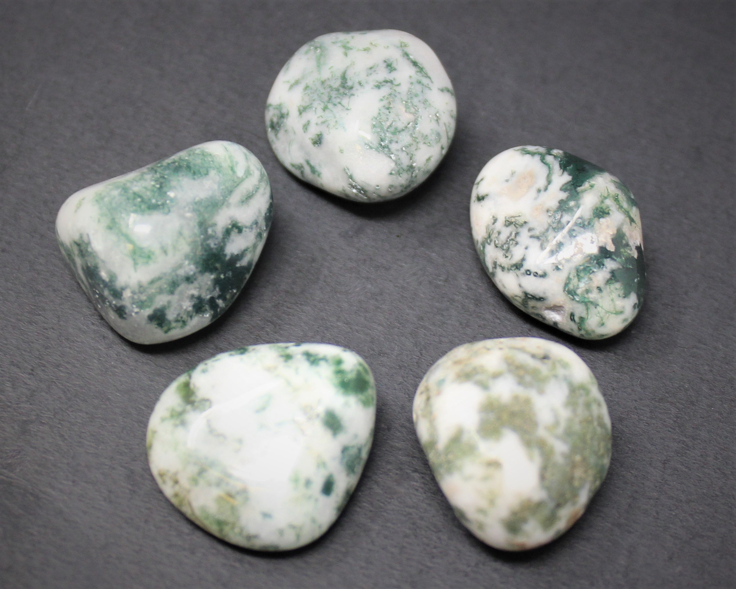 Tree Agate Tumbled Stones: Choose How Many Pieces ('A' Grade, Tumbled ...