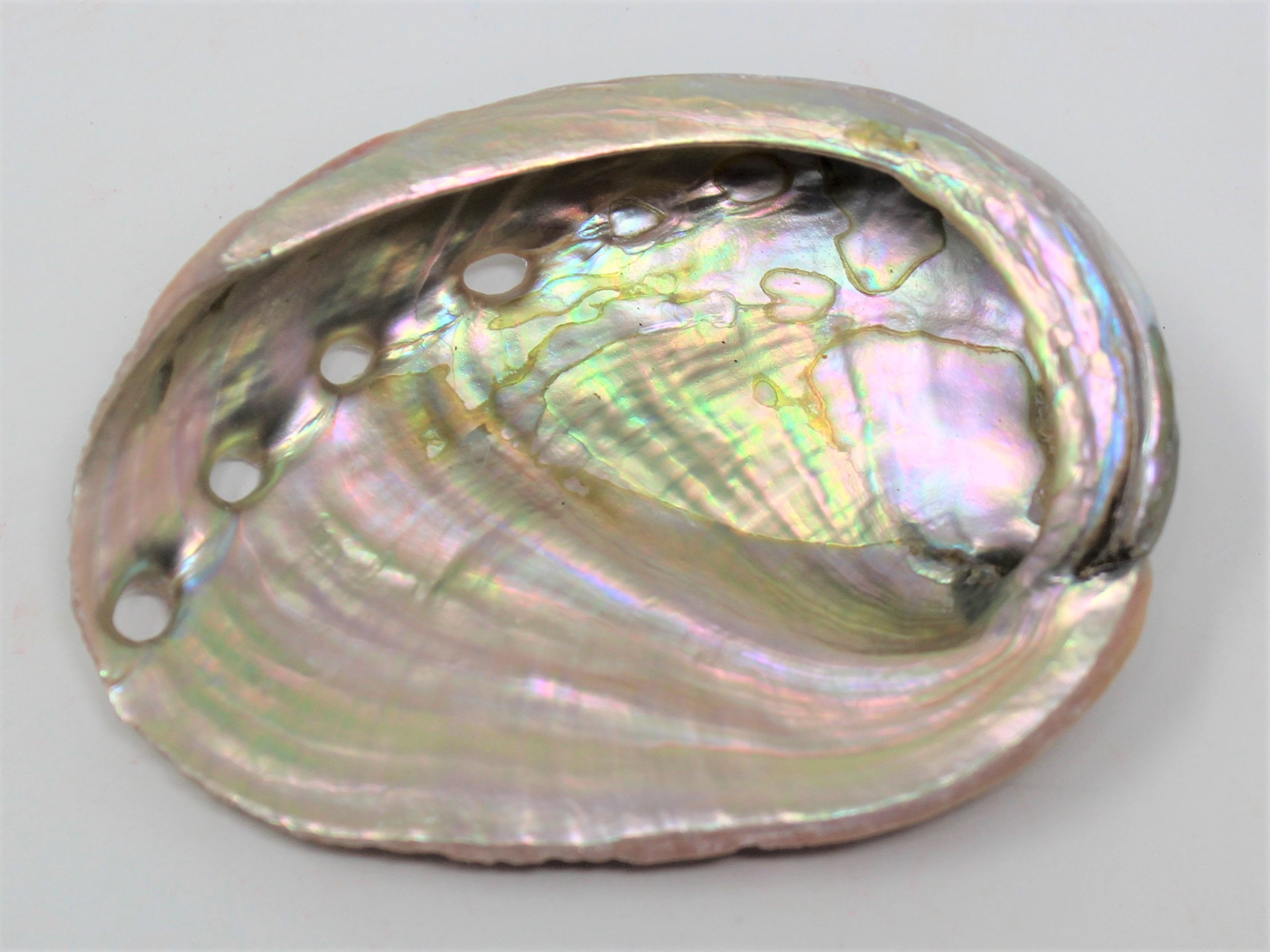 Mini Smudge Kit: Abalone Shell, Blue Sage Smudge Stick, Pack of Black ...