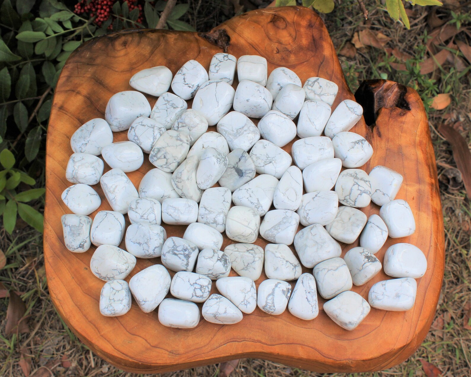 White Howlite Tumbled Stones: Choose How Many Pieces premium - Etsy