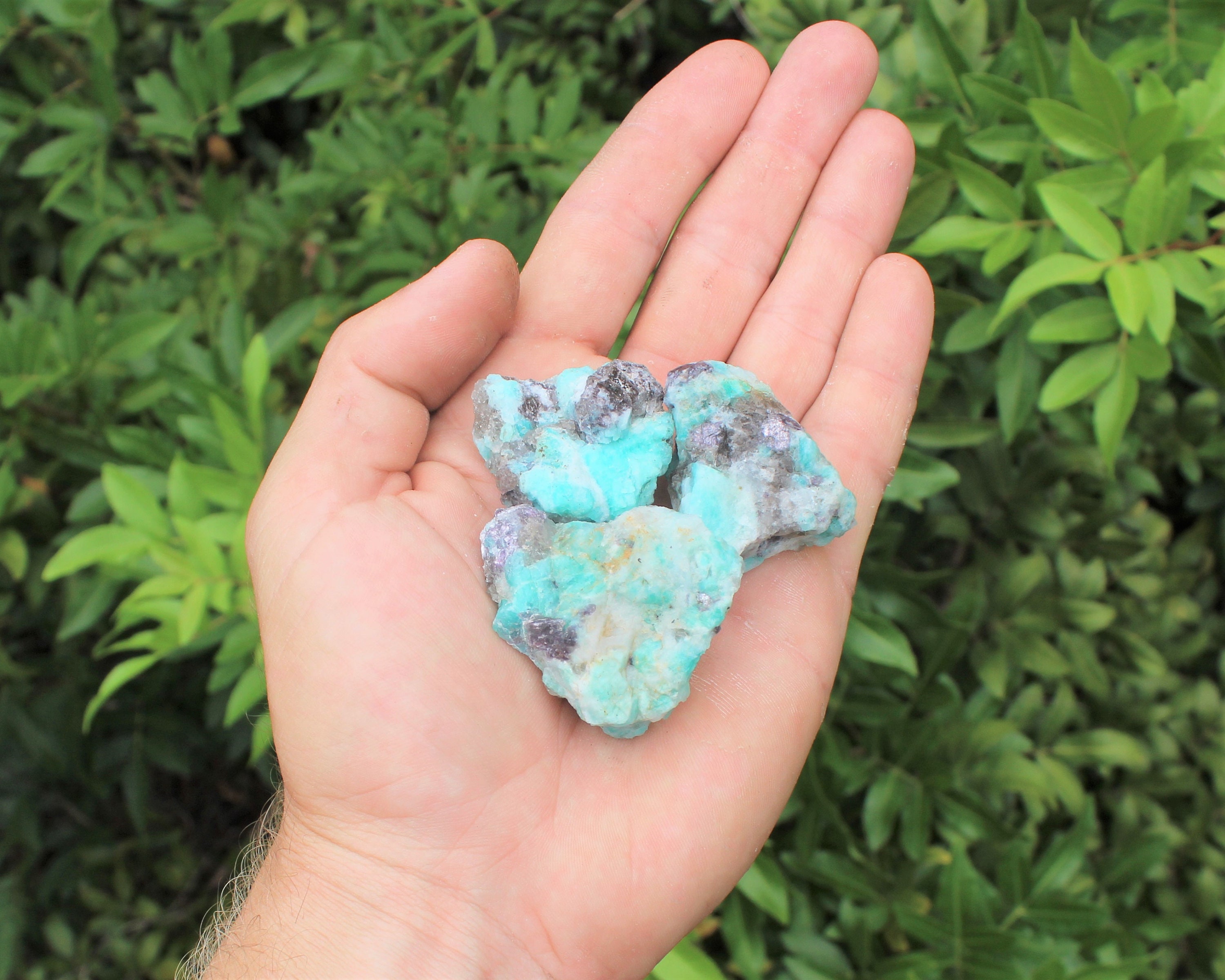 Raw Natural Amazonite Crystals Choose How Many Pieces A Grade 