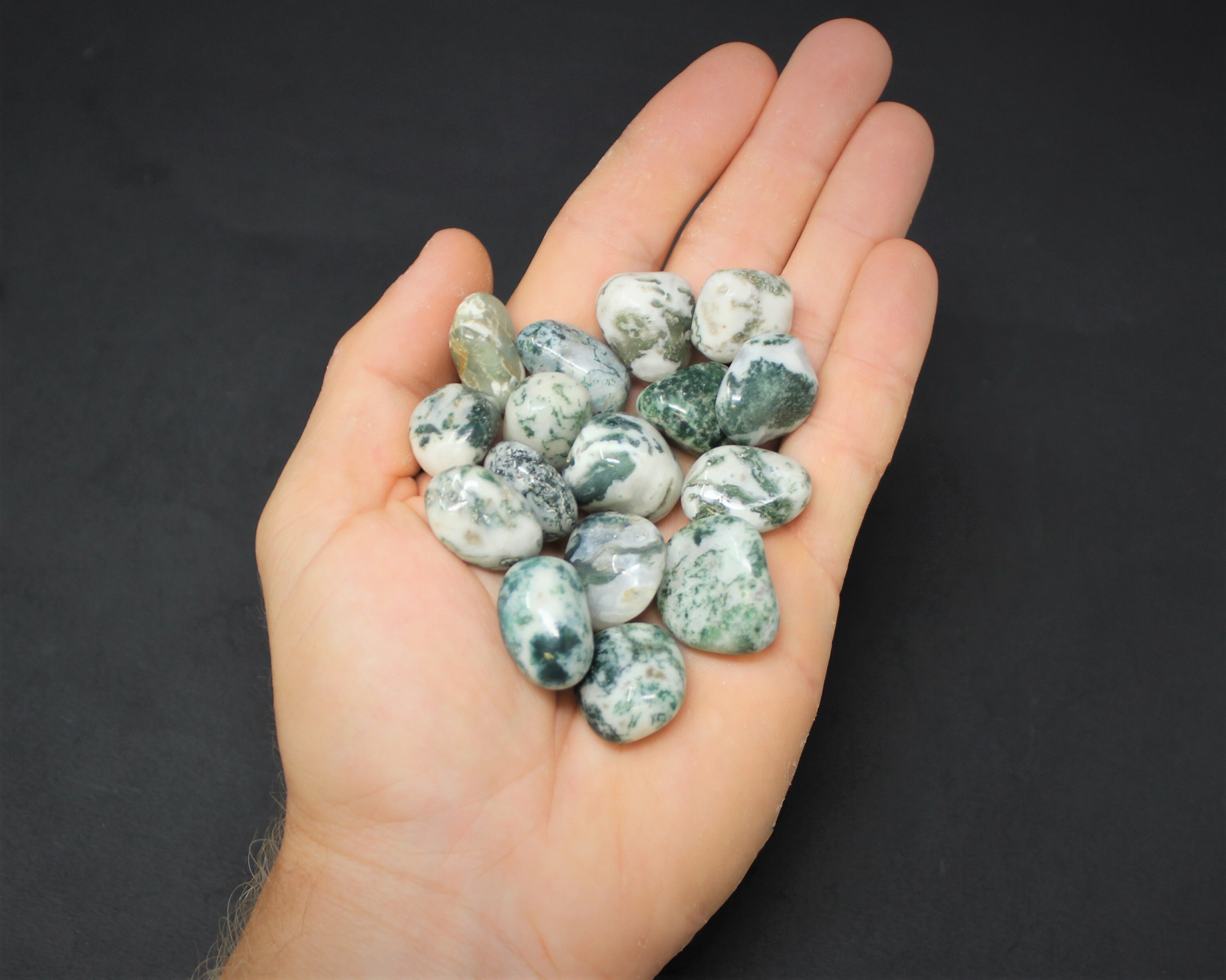 Tree Agate Tumbled Stones: Choose 4 oz, 8 oz or 1 lb Bulk Lots ('A ...