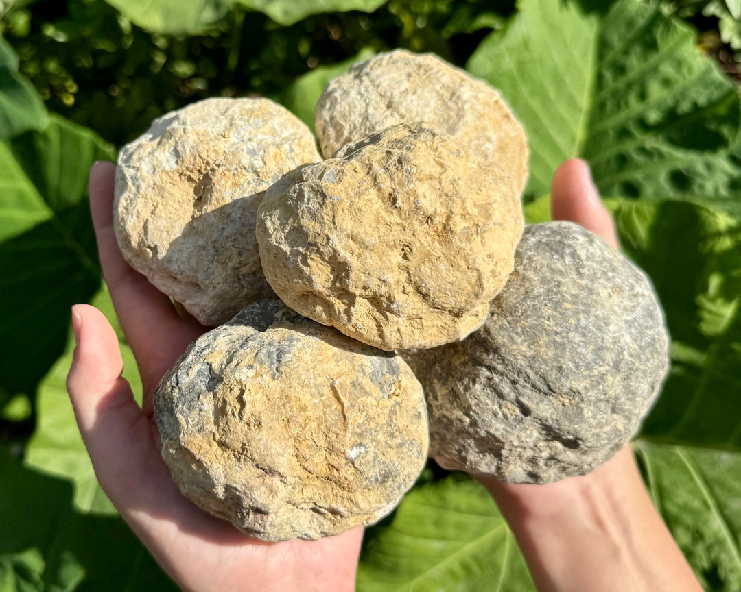 JUMBO Break Your Own Geodes Lb Wholesale Bulk Lots - CRAZY CHEAP Large ...