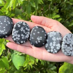 Snowflake Obsidian Palm Stone: Medium, Stone Shape Oval (smooth ...