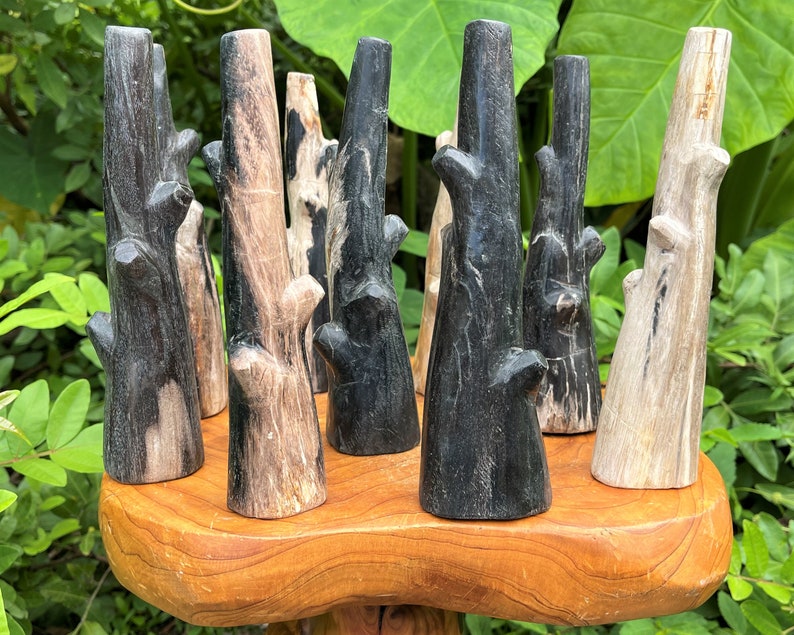 LARGE Petrified Wood Branch Carving, 7 - 7.5" (fossilized Wood Branch ...