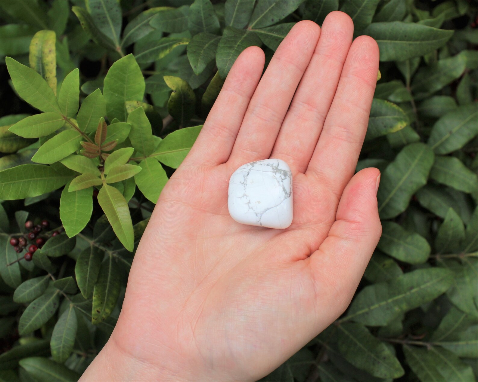 White Howlite Tumbled Stones: Choose How Many Pieces premium - Etsy