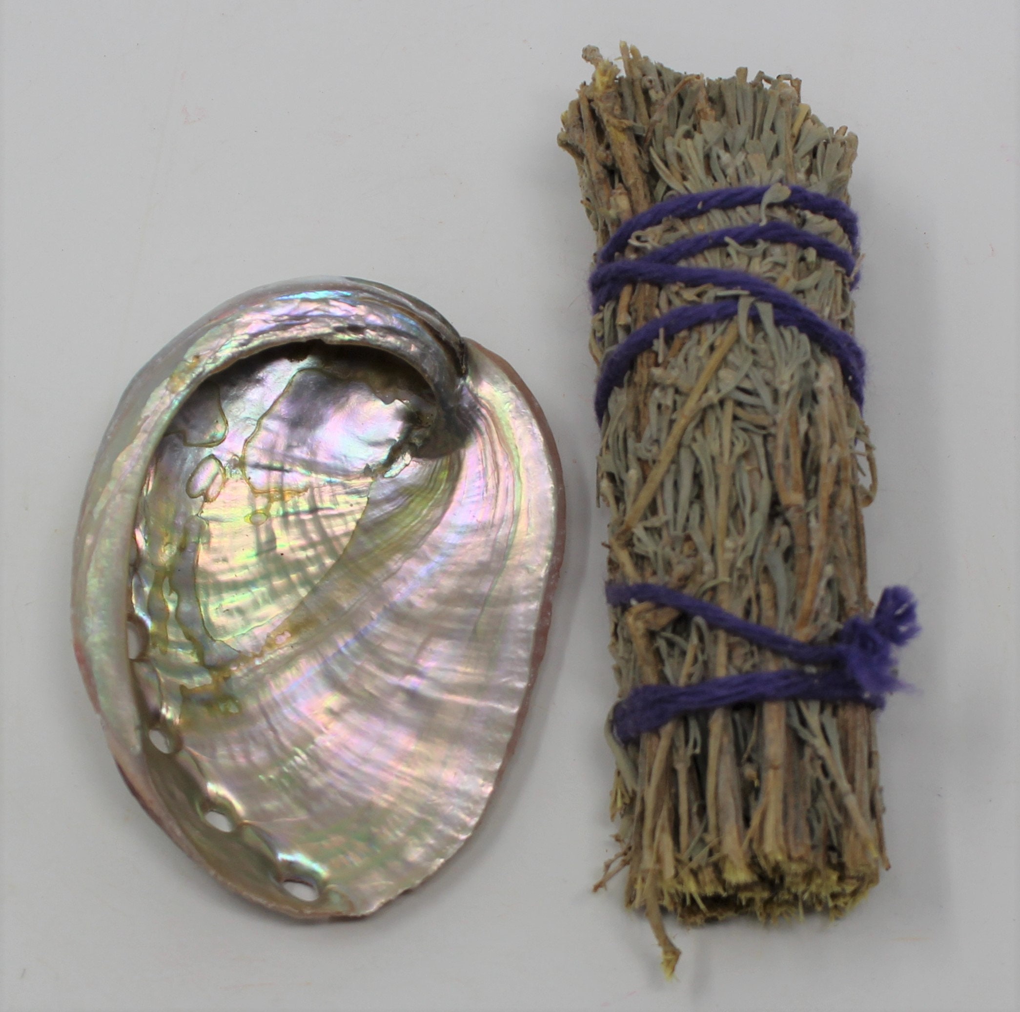 Smudge Kit: Small Abalone Shell Desert Sage Smudge Stick PLUS | Etsy