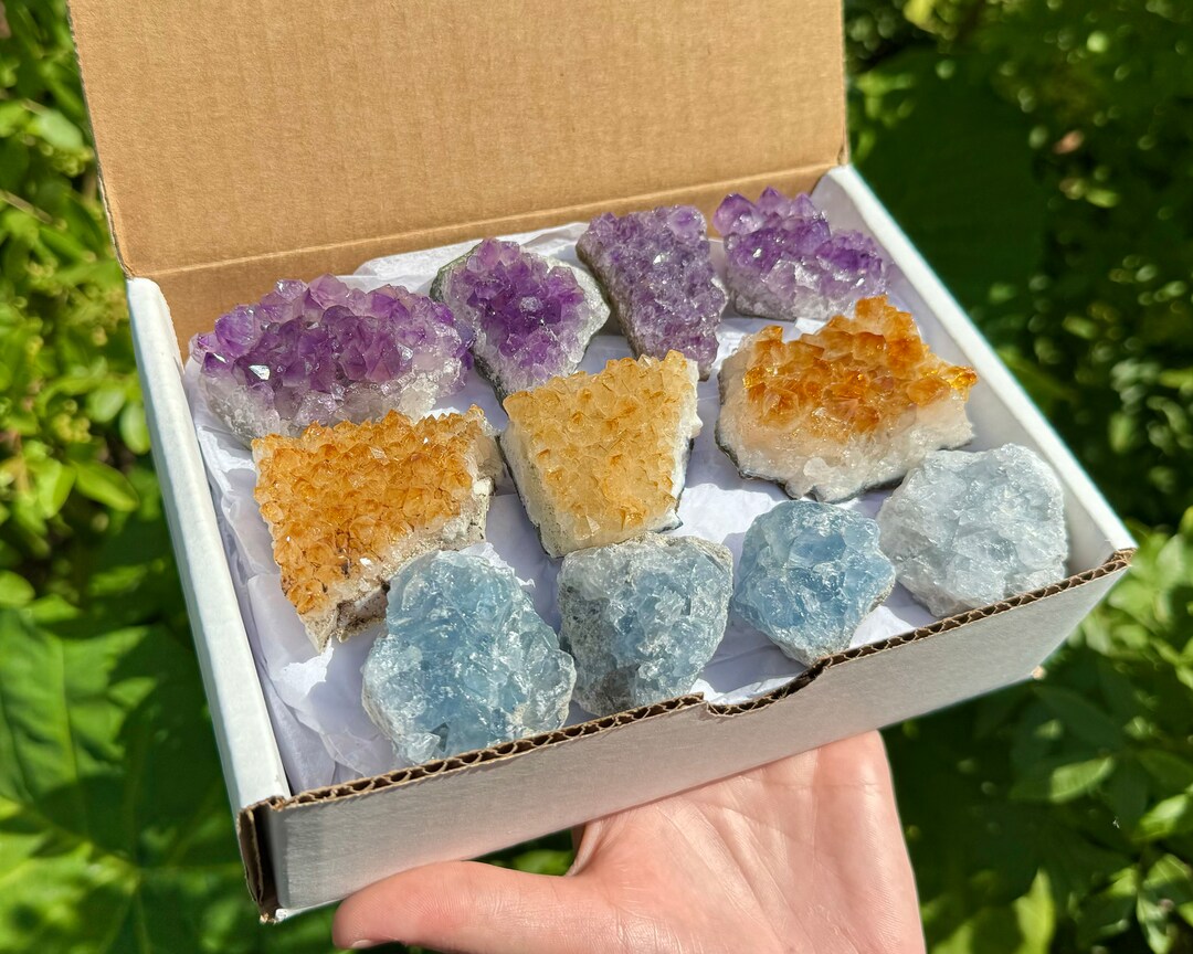 Amethyst, Citrine, & Celestite Crystal Cluster Gift Box, 9 - 12 Pieces ...