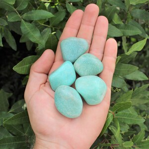 LARGE Amazonite Tumbled Stones, 1 - 2": Choose Ounces or Lb Bulk ...