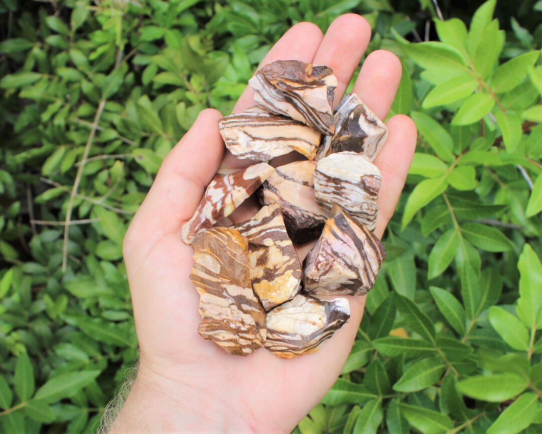 Zebra Jasper Rough Natural Stones: Choose How Many Pieces premium ...