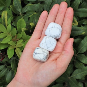 White Howlite Tumbled Stones: Choose How Many Pieces (premium Quality ...