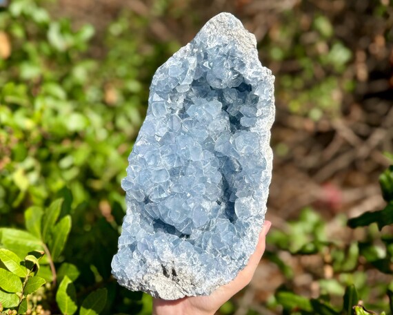 Specimens - World Incense Store