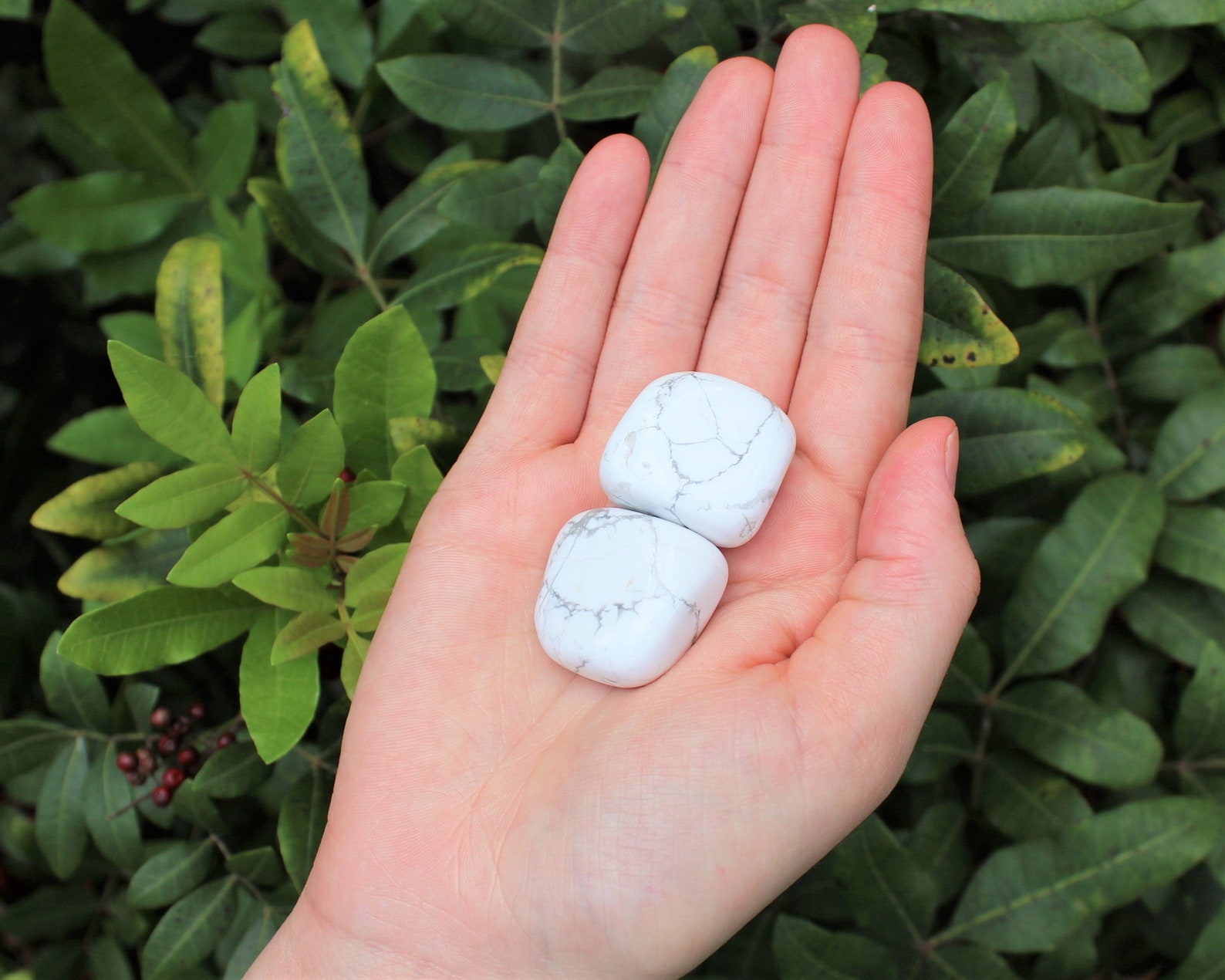 White Howlite Tumbled Stones: Choose How Many Pieces premium - Etsy