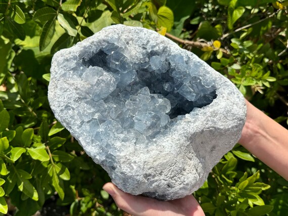 Specimens - World Incense Store