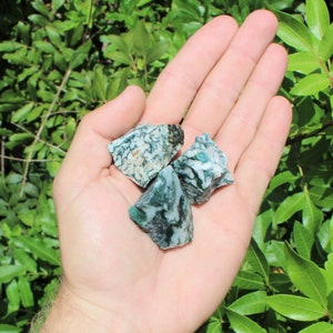 Tree Agate Rough Natural Stones: Choose Ounces or Lb Bulk Wholesale ...