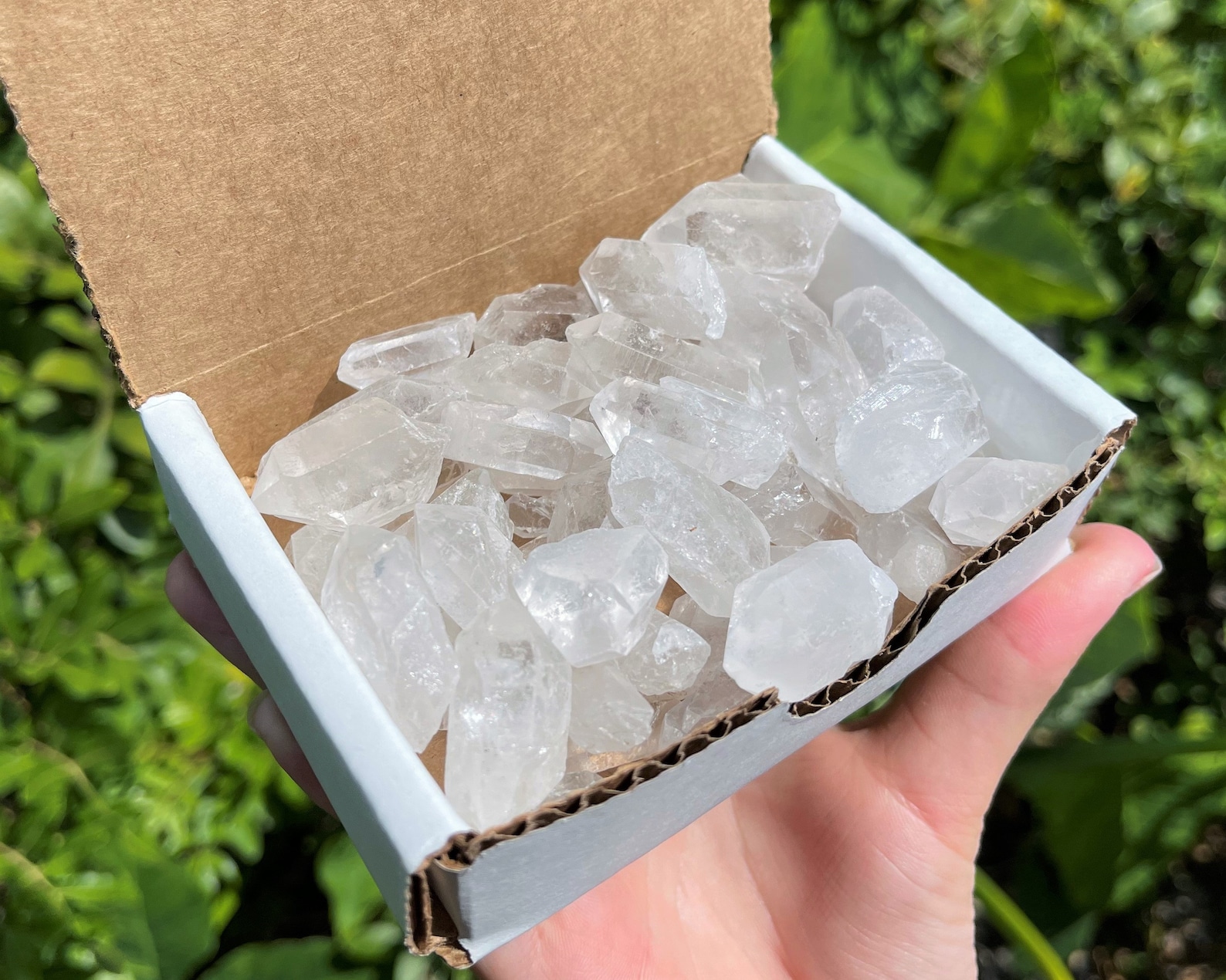 Clear Quartz Points Crystal Collection 1/2 Lb Box 8 Oz, 'A' Grade, Natural Quartz Point - Etsy
