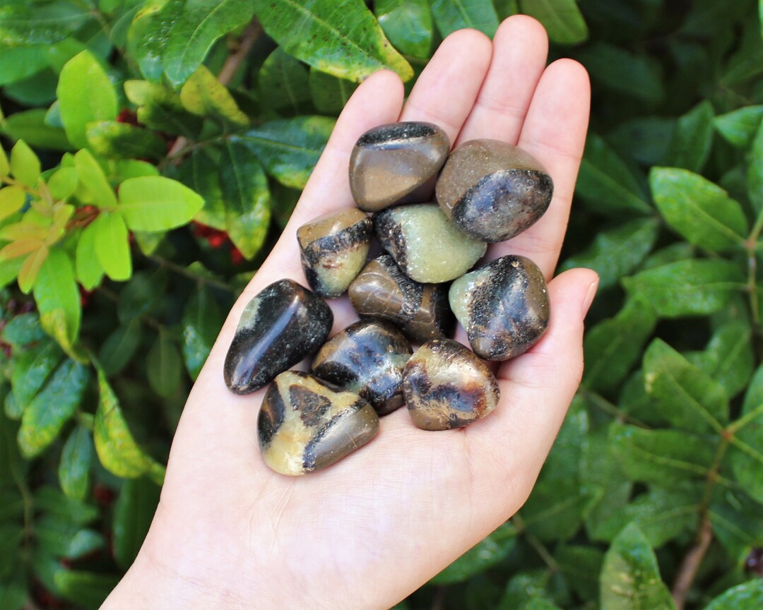 Septarian Tumbled Stones: Choose How Many Pieces ('A' Grade Premium ...