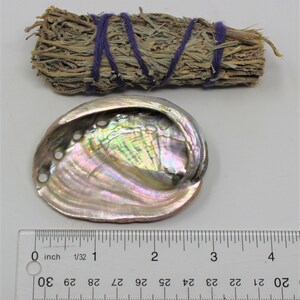 Smudge Kit: Small Abalone Shell, Desert Sage Smudge Stick PLUS Smudging ...