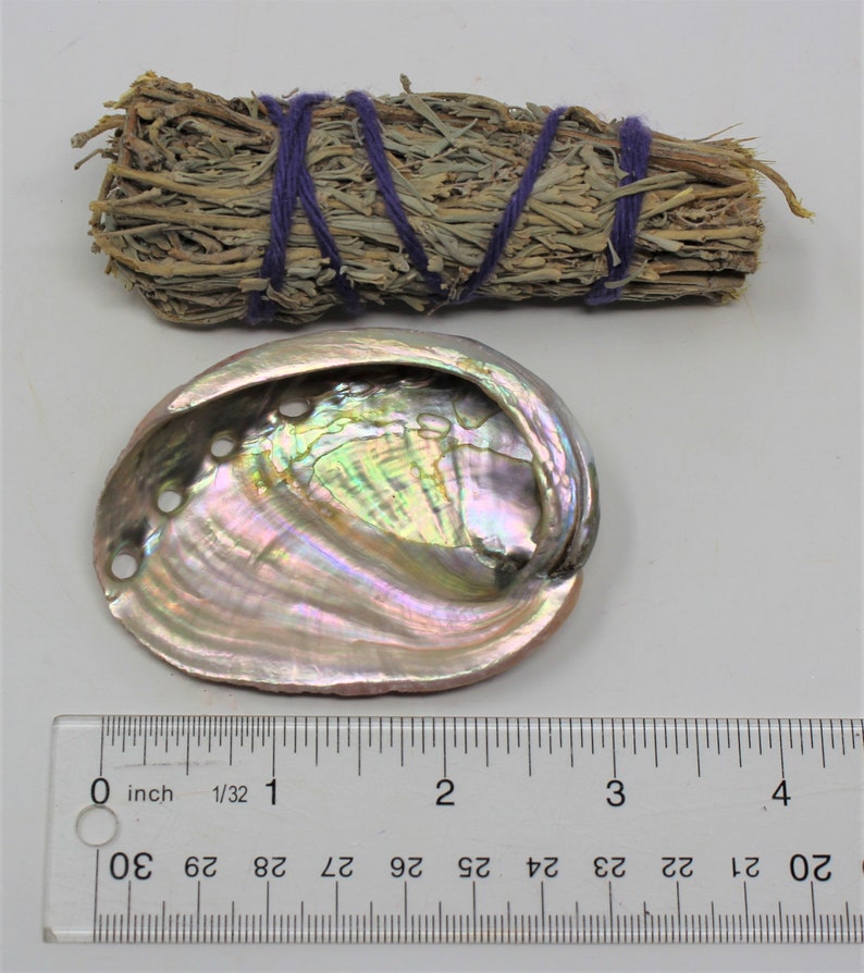 Smudge Kit: Small Abalone Shell Desert Sage Smudge Stick PLUS - Etsy