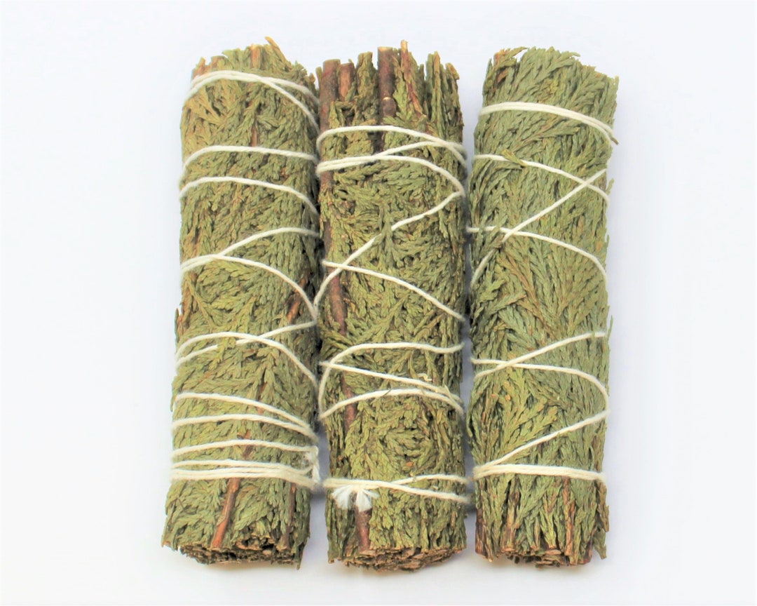 Cedar Smudge Bundles - 3 Pack Bulk Lot, Bundle, Fresh Cleansing Energy ...
